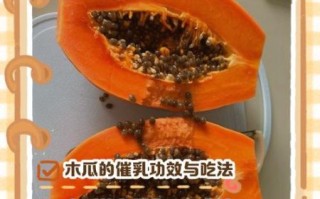 木瓜怎么吃才好吃_木瓜的正确吃法