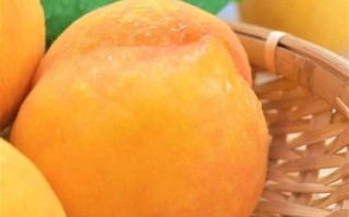 黄桃图片高清_黄桃高清图怎么拍