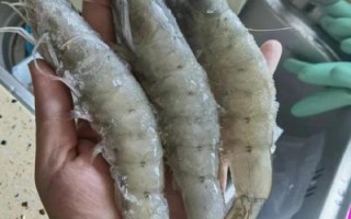 冰冻大虾煮多久能熟_冰冻虾煮几分钟才安全