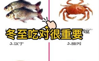 南方冬至吃什么进补_南方冬至进补食谱