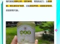 槐花蜜的作用与功效_槐花蜜适合什么人喝