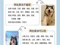 阿拉斯加犬适合家养吗_阿拉斯加犬的优缺点有哪些