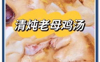 老母鸡汤怎么炖好喝_老母鸡汤炖多久才入味