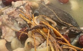 清炖甲鱼汤怎么做_家常清炖甲鱼汤的做法