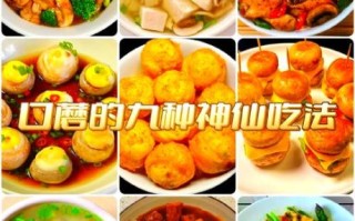 口蘑怎么做好吃_口蘑的家常做法步骤