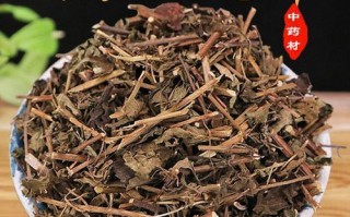 酸浆草的功效与作用_酸浆草怎么泡水喝