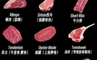 肉眼是牛的哪个部位_肉眼牛排和肋眼区别