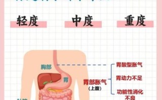 胃胀气是什么原因引起的_胃胀气怎么快速排气