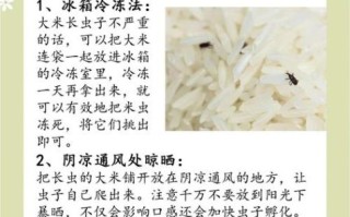 大米生虫子怎么办_如何彻底消灭米虫