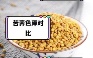 黑苦荞和黄苦荞的区别_哪个更好