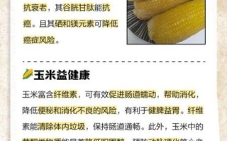 玉米的营养价值_玉米吃了会发胖吗