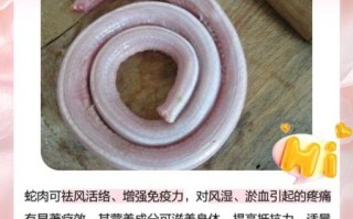 蛇肉怎么做好吃_蛇肉的做法大全