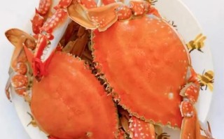 清蒸梭子蟹蘸料怎么做_清蒸梭子蟹蘸什么汁好吃