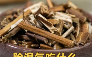 祛湿中药有哪些_湿气重吃什么中药最快