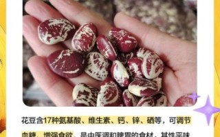 花豆怎么煮容易烂_花豆的功效与作用