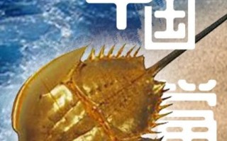 吃鲎犯法吗_鲎的保护级别与法律后果