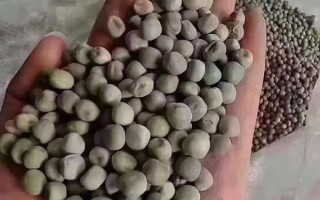 干豌豆怎么泡发_干豌豆怎么吃最好吃