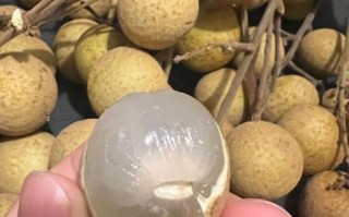 龙眼图片大全大图_龙眼高清图片怎么拍