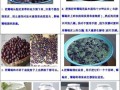 自制红葡萄酒的做法_家庭自酿葡萄酒详细步骤