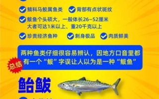 鲐鱼和鲅鱼的区别_怎么区分鲐鱼与鲅鱼 鲐鱼和鲅鱼的区别_怎么区分鲐鱼与鲅鱼