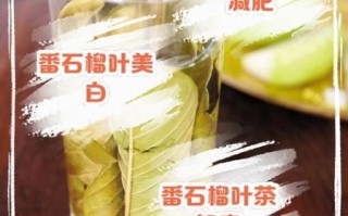 番石榴叶的功效与作用_番石榴叶怎么泡水喝