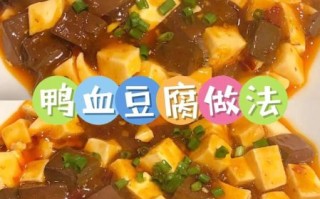 鸭血豆腐怎么做好吃_家常鸭血豆腐的做法大全