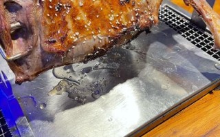 狼肉好吃吗_狼肉口感怎么样