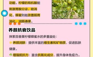 蜂蜜加柠檬有什么功效_柠檬蜂蜜水的作用与禁忌