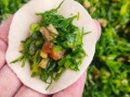 茴香猪肉饺子馅怎么调_茴香饺子馅放什么调料