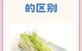 韭黄和蒜黄的区别_哪个更有营养