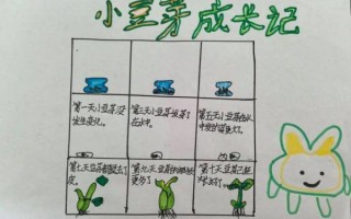 豆芽观察日记七天带图_如何记录生长细节