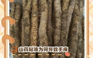 山药痒会持续多久_山药痒怎么快速止痒