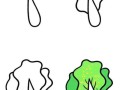 白菜怎么画_白菜简笔画步骤