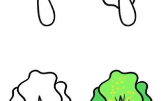 白菜怎么画_白菜简笔画步骤