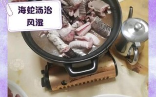 清炖蛇汤怎么做_清炖蛇汤用什么蛇最好