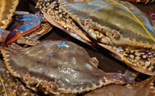 梭子蟹死了能吃吗_死了多久不能吃