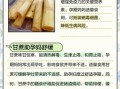 孕妇可以吃甘蔗吗_甘蔗的功效与作用孕妇