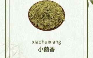 茴香的功效与作用_茴香的食用方法