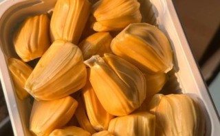 菠萝蜜怎么吃才正确_菠萝蜜怎么剥皮不浪费