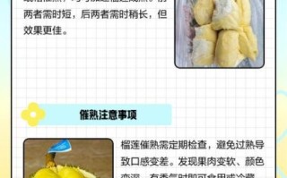 榴莲催熟需要几天_榴莲怎么判断熟没熟