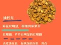 防风的功效与作用有哪些_防风怎么吃效果最好