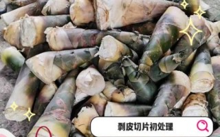 新鲜春笋怎么处理_春笋去涩方法
