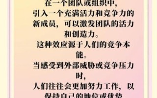 鲶鱼效应说明了什么道理_如何激发团队活力