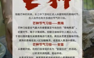 芒种吃什么传统食物_芒种节气必吃美食图片