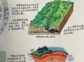 地理漫画怎么画_地理漫画有什么用