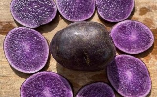 黑美人土豆产地在哪里_黑美人土豆主产区分布