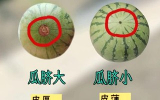 西瓜怎么挑选_西瓜怎么切不流汁