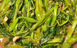 清淡开胃的家常菜窍门_夏天没胃口吃什么