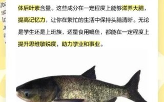 鳙鱼和鲢鱼哪个好吃_口感营养大比拼