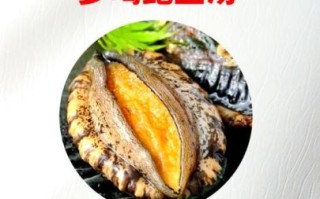 鲍鱼炖汤的做法有哪几种_鲍鱼汤怎么炖最鲜